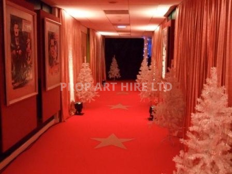 Red carpet and gold draped walls at the SWALEC Cricket Stadium - Event ...
